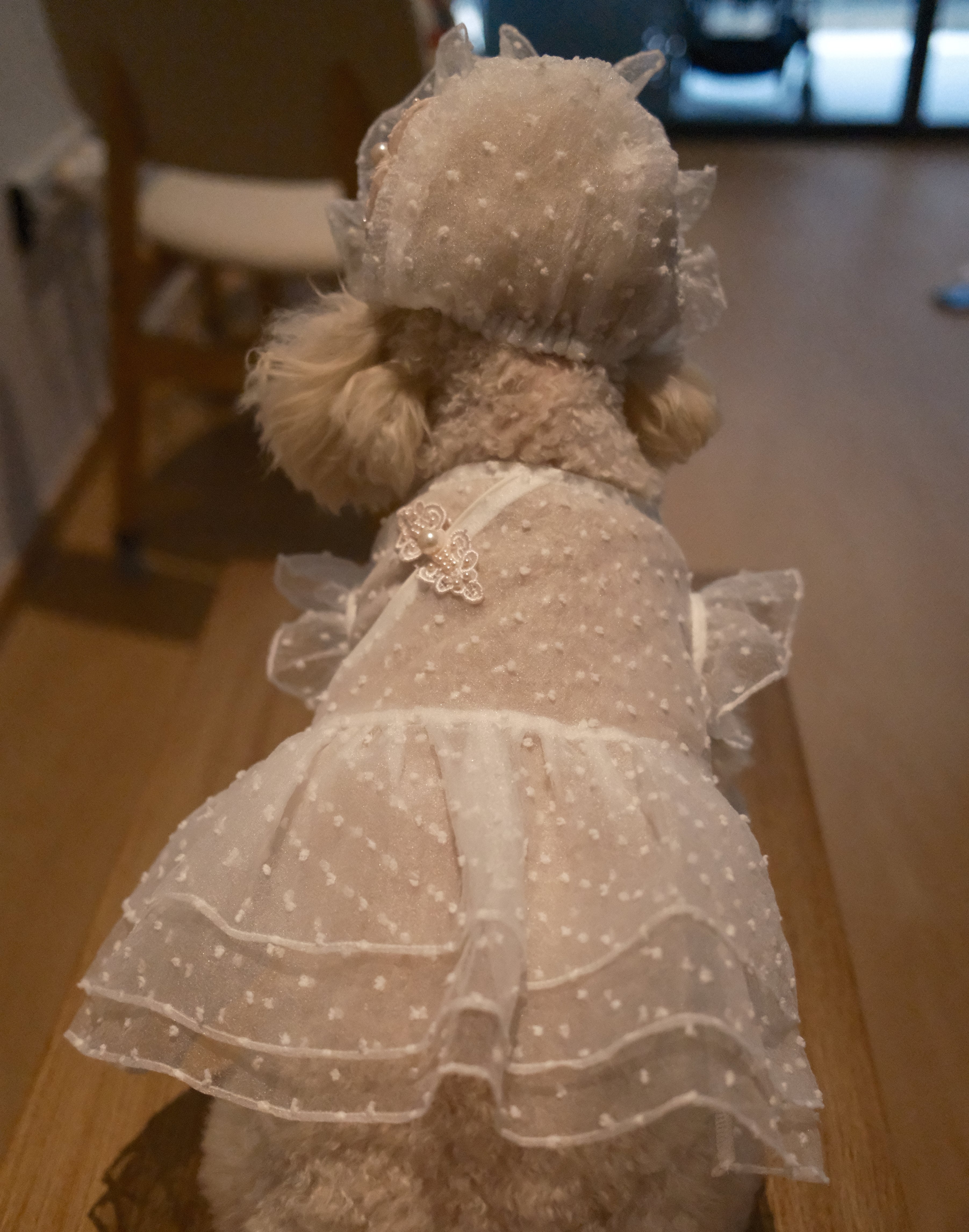 Starlight Tulle Collection – PAWHAUS