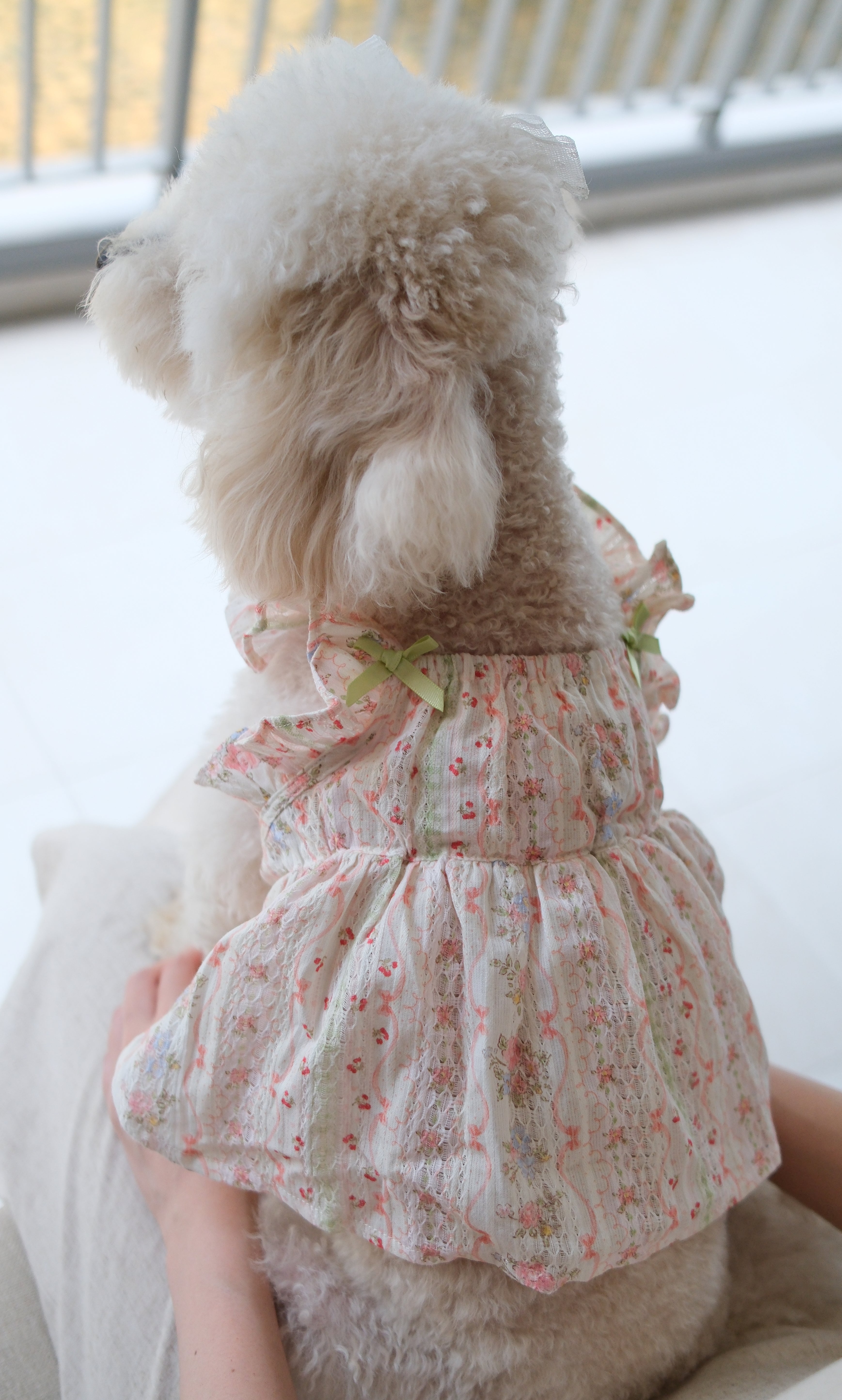 Green Meadow Dress – PAWHAUS