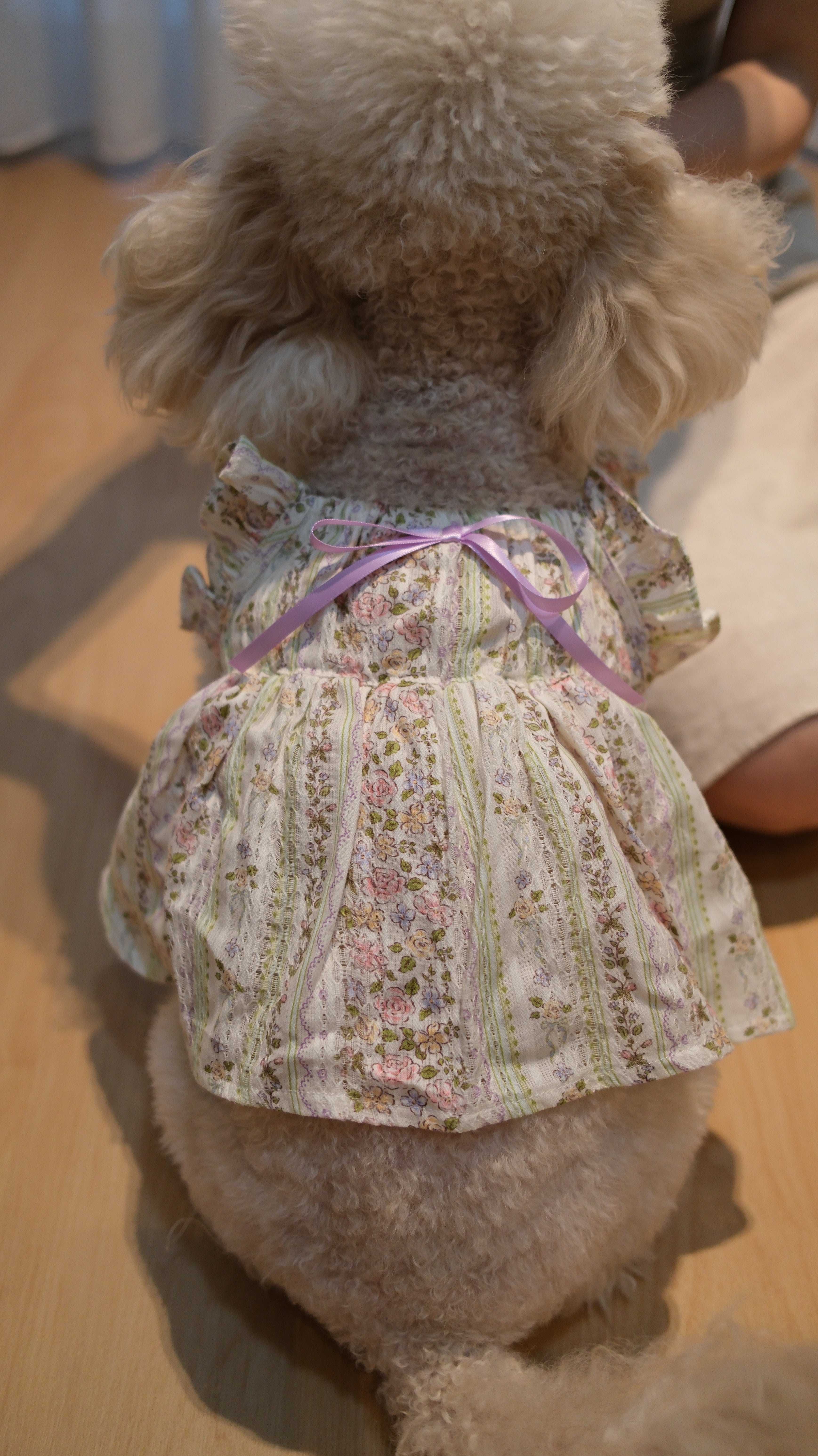 Bloom Meadow Dress – PAWHAUS
