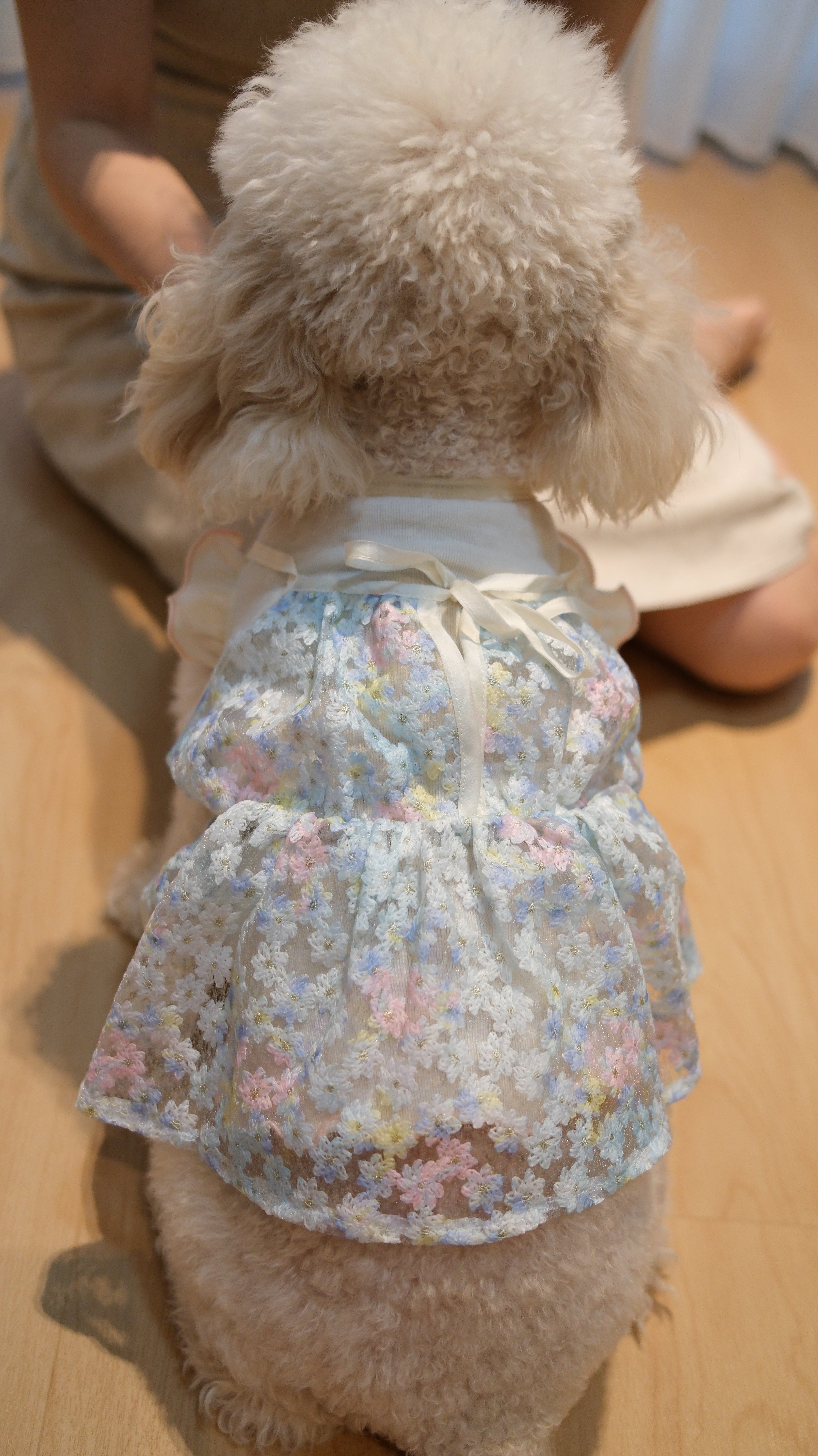 Whispering Blooms Collection – PAWHAUS