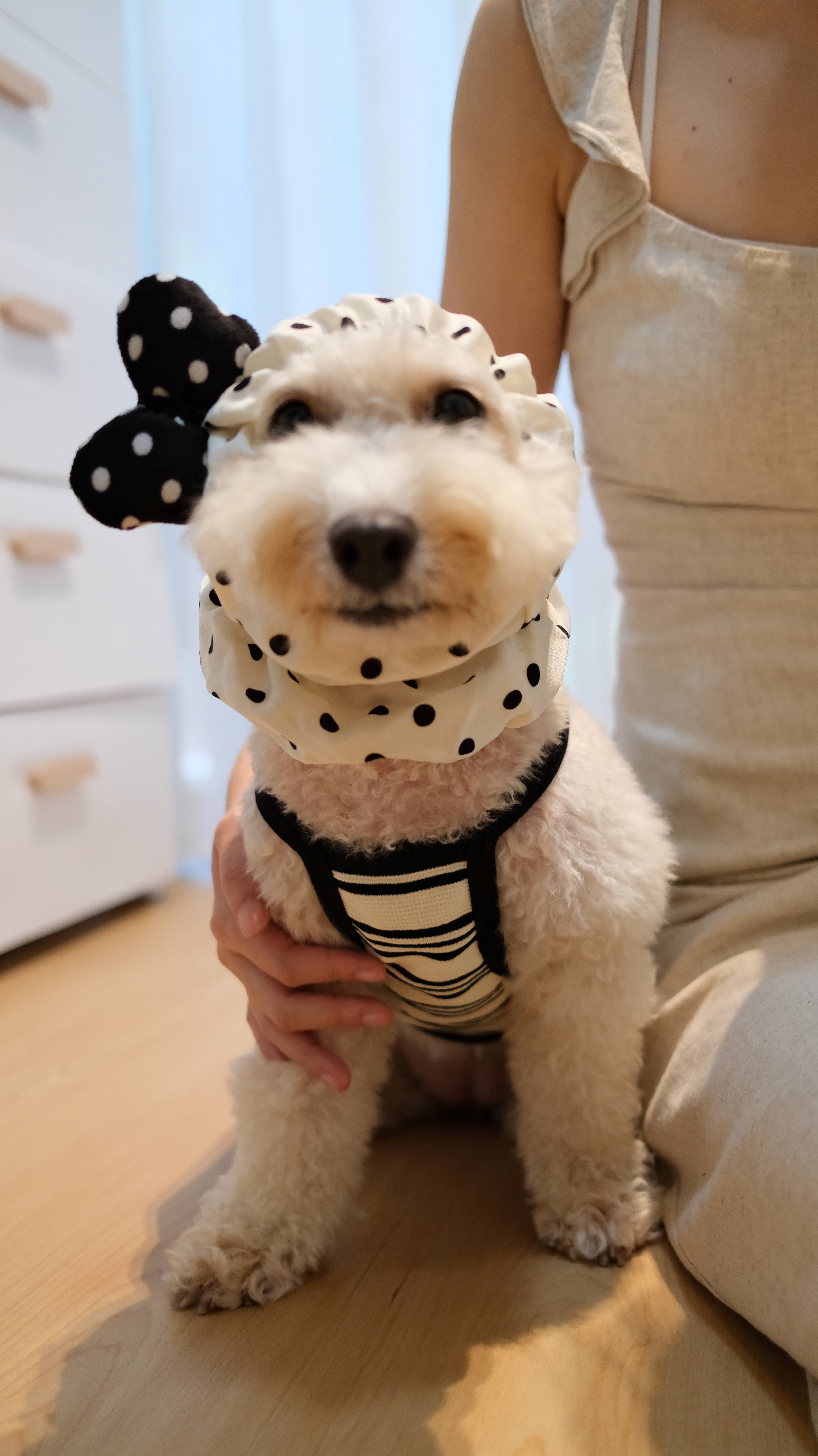 Polka Dots Snood – PAWHAUS