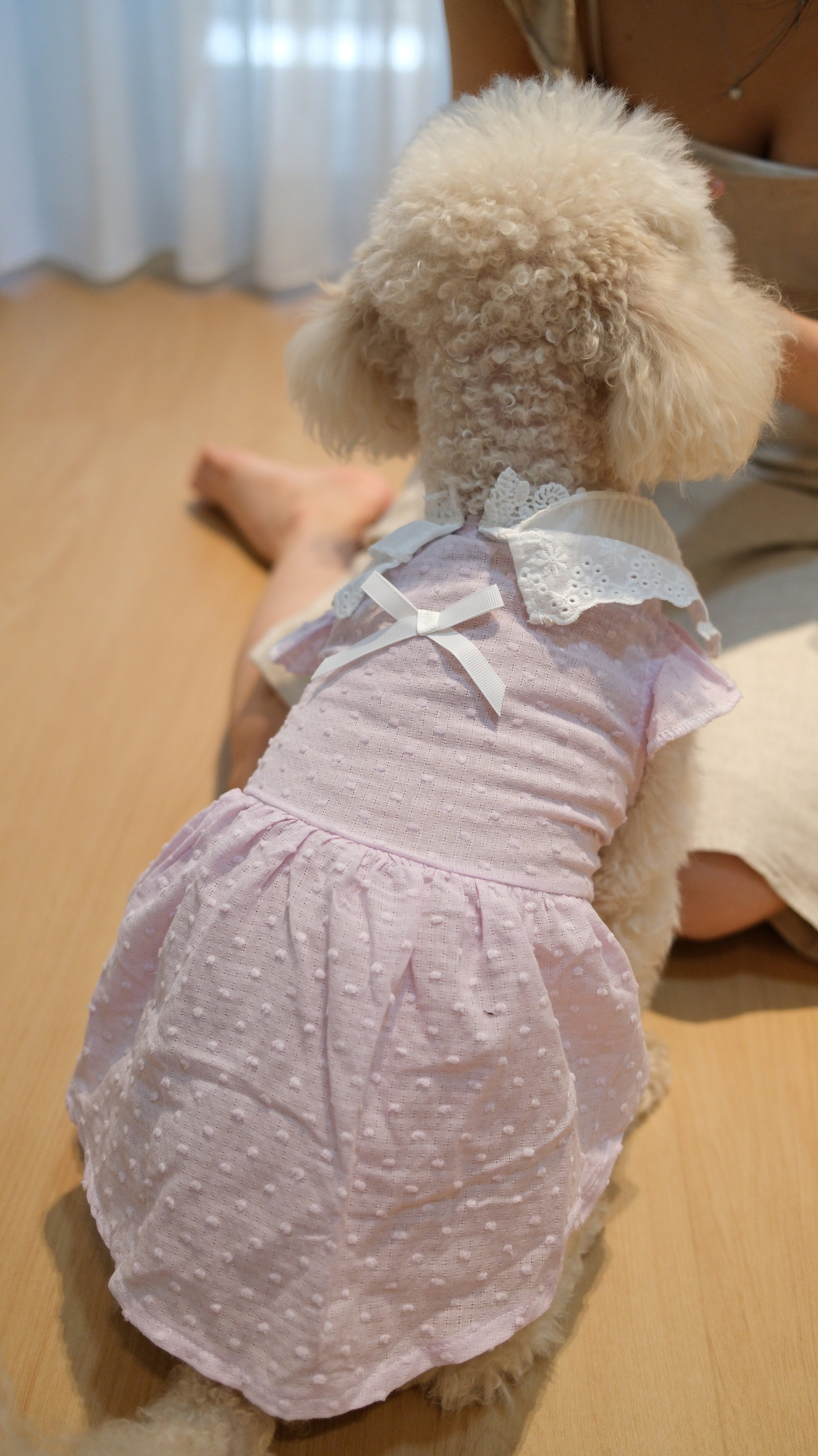 Lulu Lace – PAWHAUS