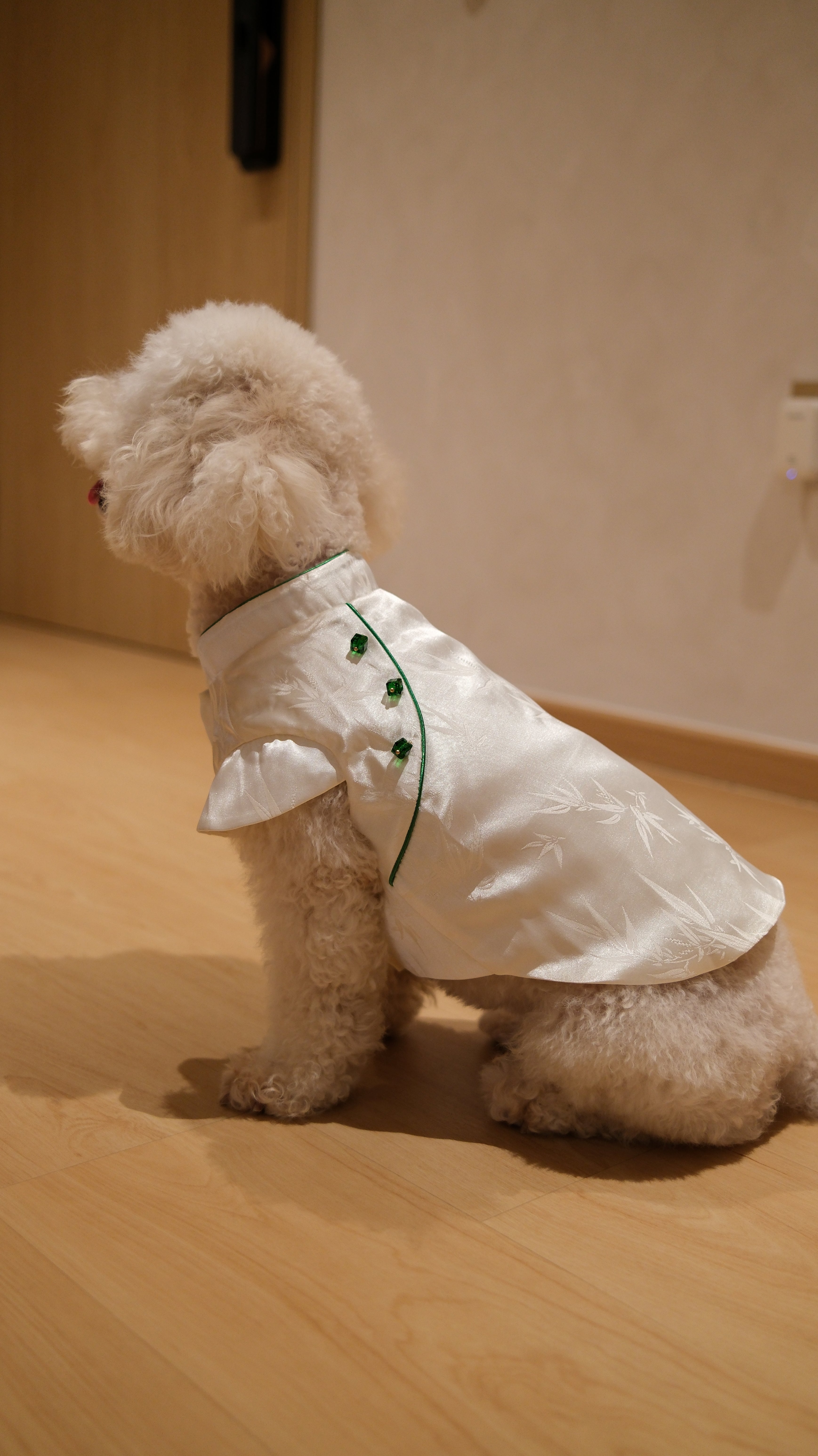 Little Qipao Collection – PAWHAUS