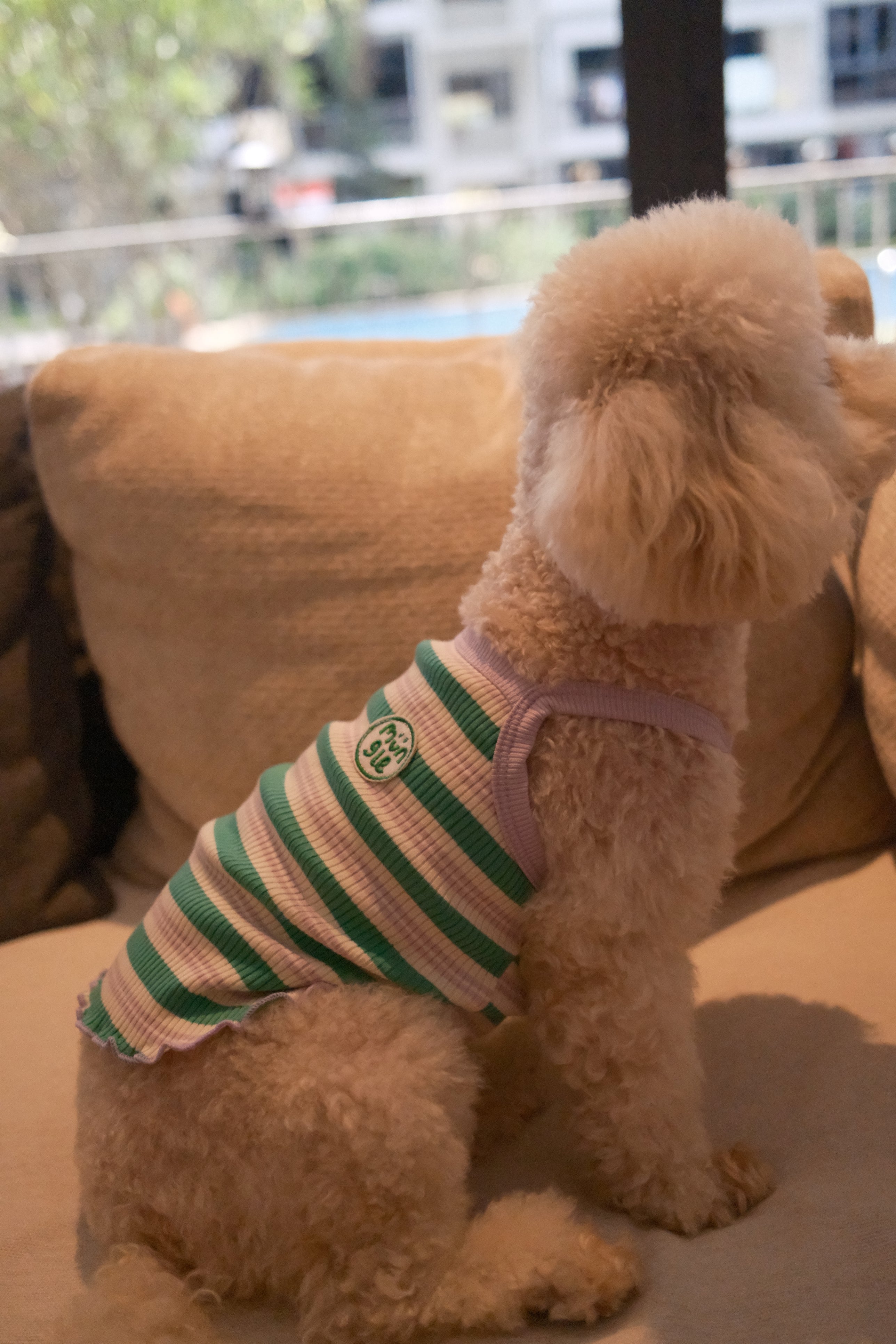 Lounge Wear Series – PAWHAUS