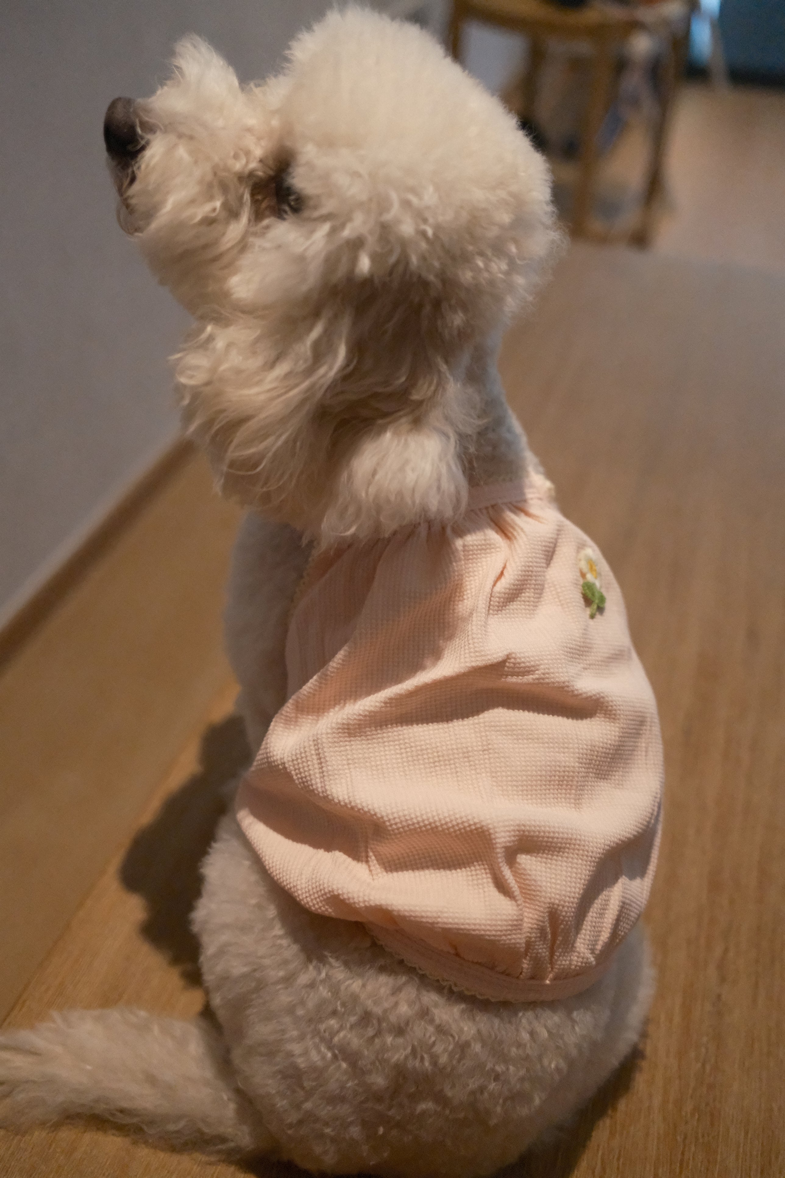 Pastel Blossom Singlet – PAWHAUS