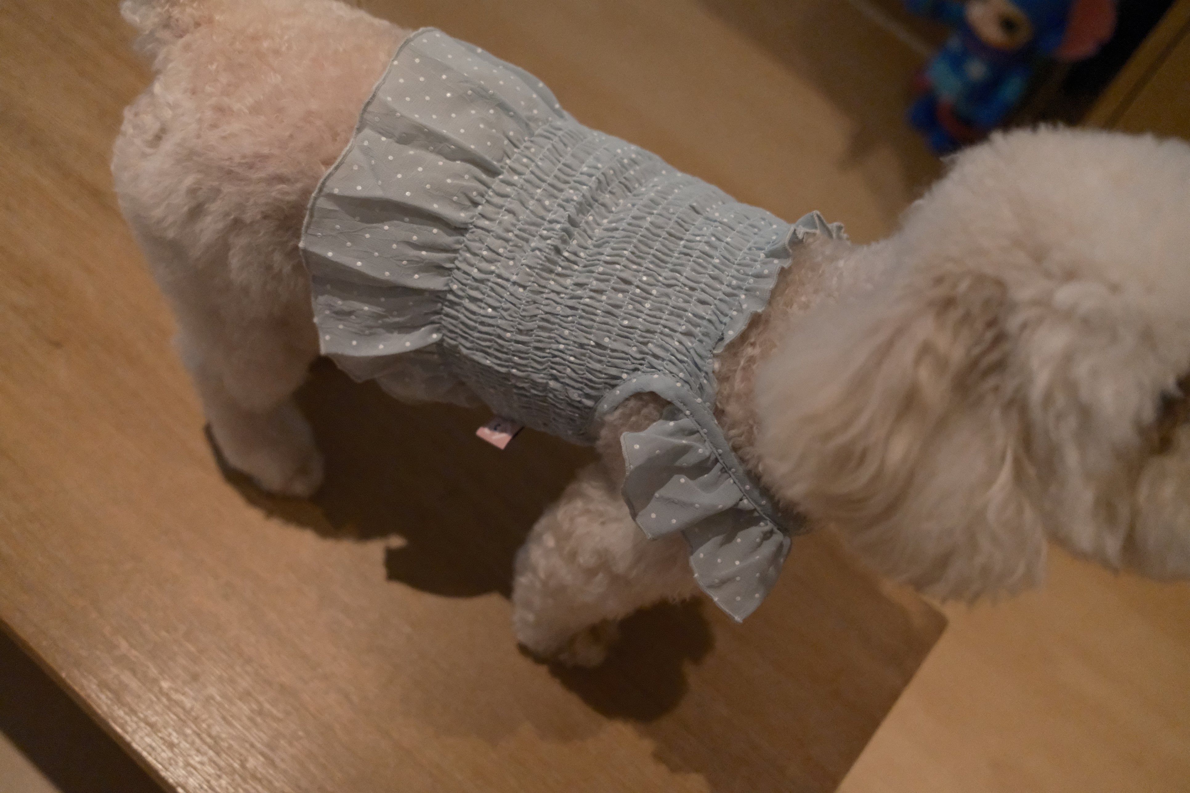Daisy Top – PAWHAUS